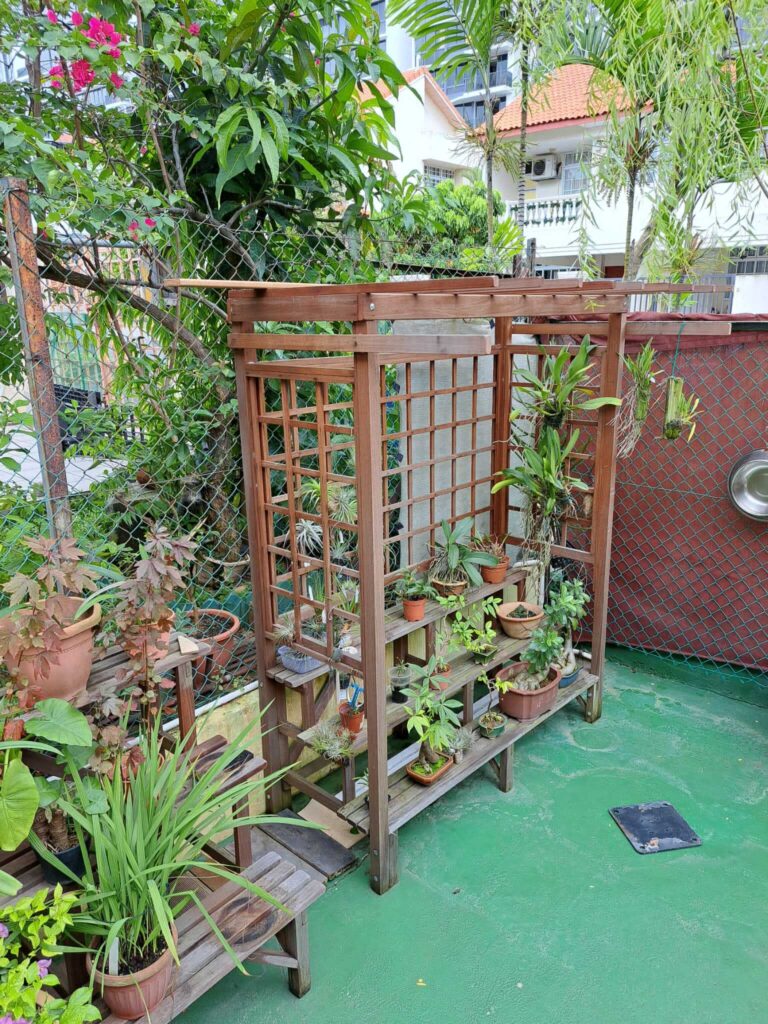 Orchid/Airplant Trellis Stand + 2-Step Planter Stand | Outdoor ...